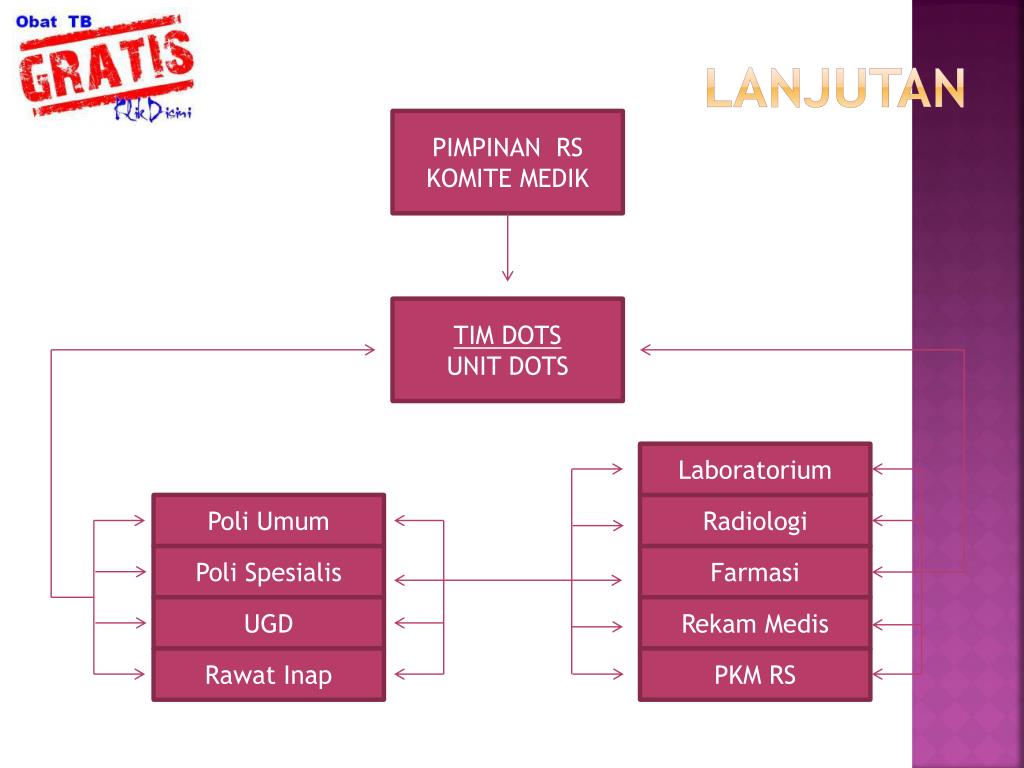 PPT - PENERAPAN STRATEGI DOTS DI RUMAH SAKIT PowerPoint Presentation ...