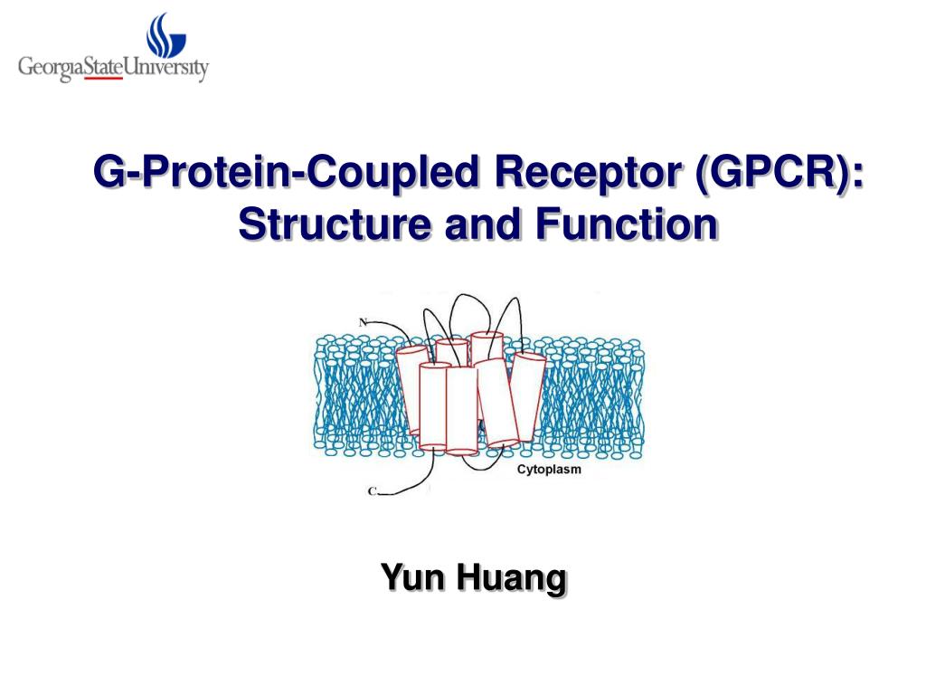 Ppt G Protein Coupled Receptor Gpcr Structure And Function