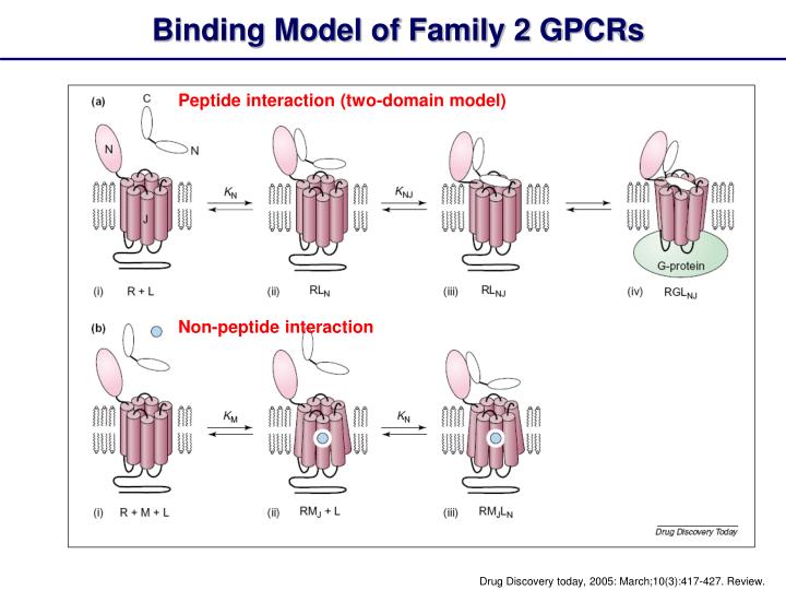 PPT - G-Protein-Coupled Receptor (GPCR): Structure and Function ...