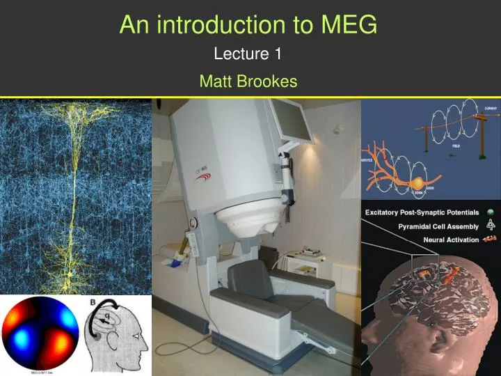 PPT - An introduction to MEG Lecture 1 PowerPoint Presentation, free ...