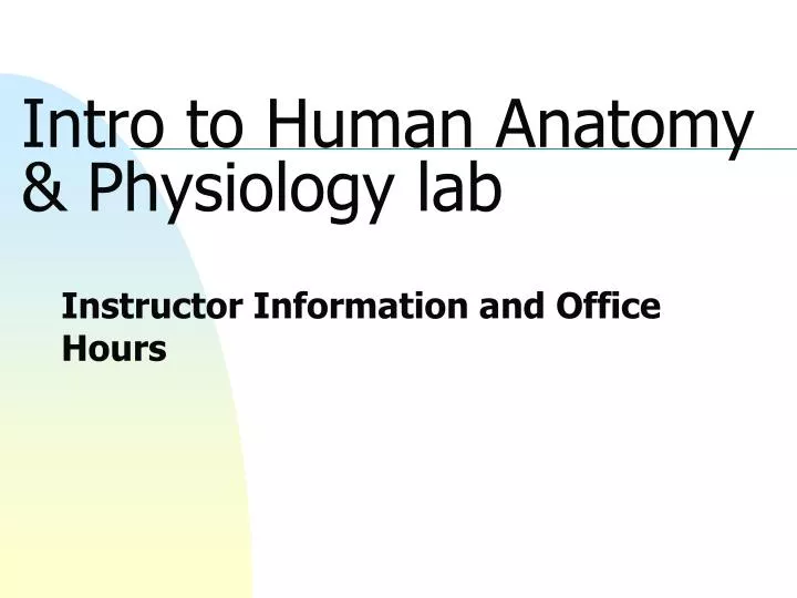 PPT - Intro to Human Anatomy & Physiology lab PowerPoint Presentation ...