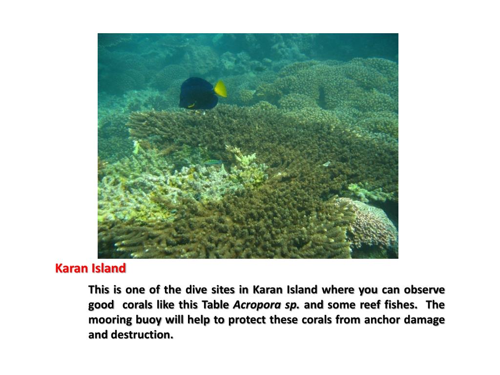 PPT - Mooring Buoy Station (035-U) near Kurayn Island PowerPoint ...