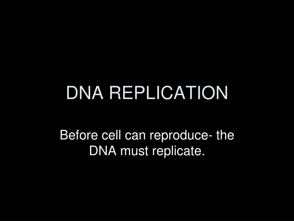 Ppt Dna Replication Chromosomes And The Cell Cycle Powerpoint