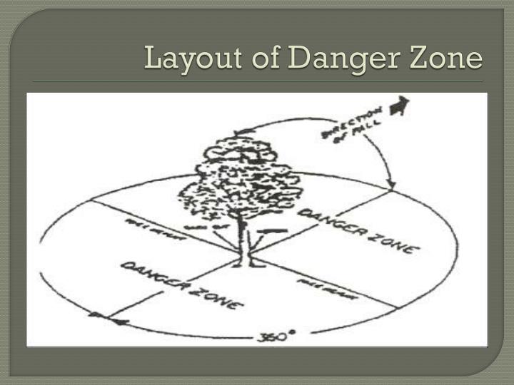 PPT - Chainsaw Safety PowerPoint Presentation - ID:5758041