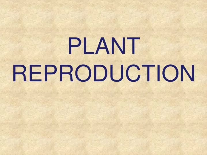 Ppt Plant Reproduction Powerpoint Presentation Free Download Id