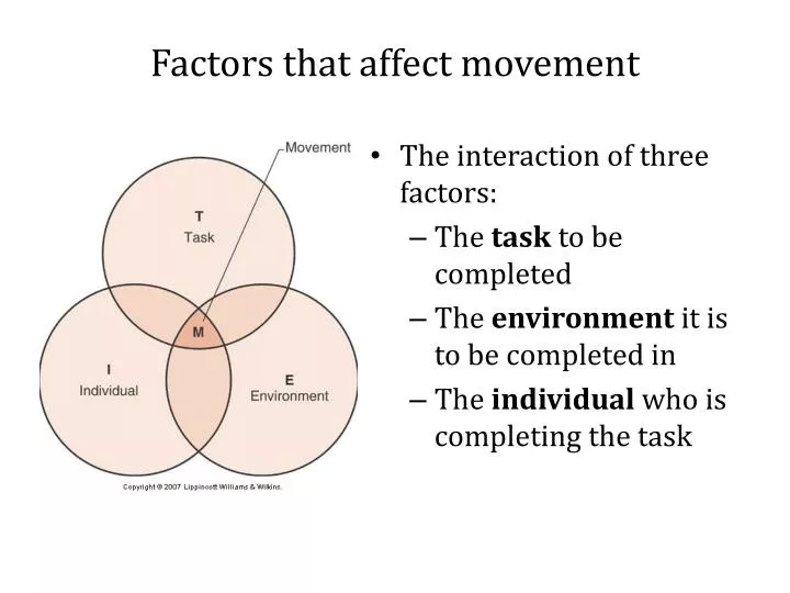 PPT - Factors that affect movement PowerPoint Presentation, free ...