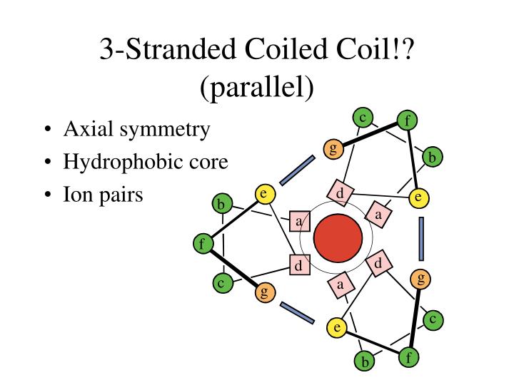PPT - Coiled Coils PowerPoint Presentation - ID:5763565