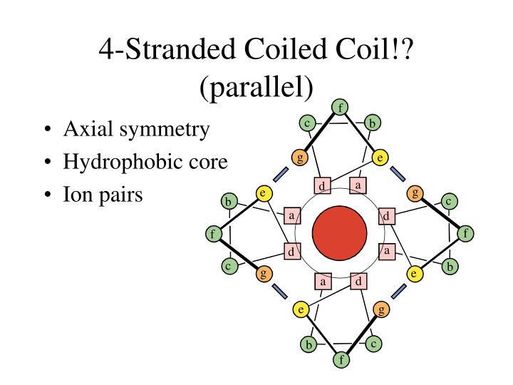 PPT - Coiled Coils PowerPoint Presentation - ID:5763565