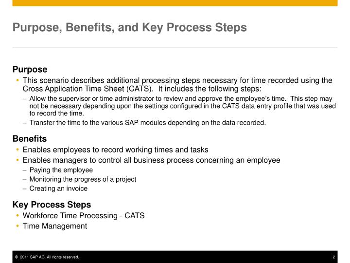 PPT - Time Processing – Cross Application Timesheet (CATS) (572 ...