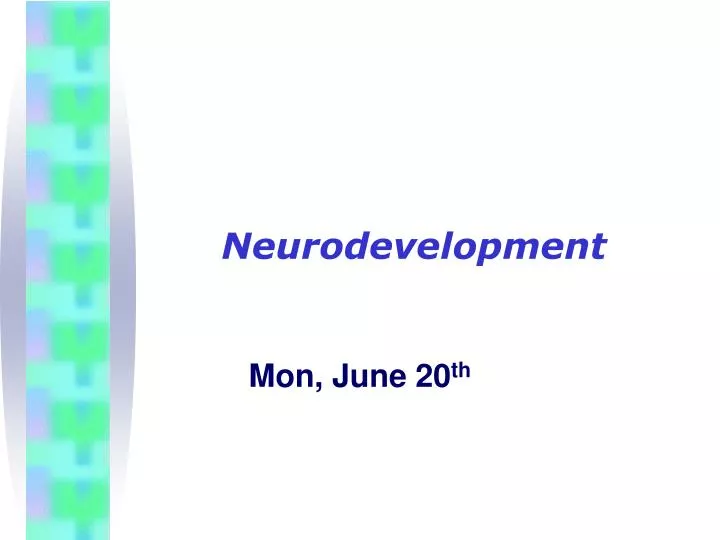 PPT - Neurodevelopment PowerPoint Presentation, free download - ID:5764617