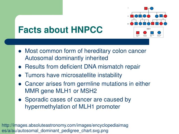 PPT - MLH1: Hereditary non-polyposis colon cancer (HNPCC) PowerPoint ...