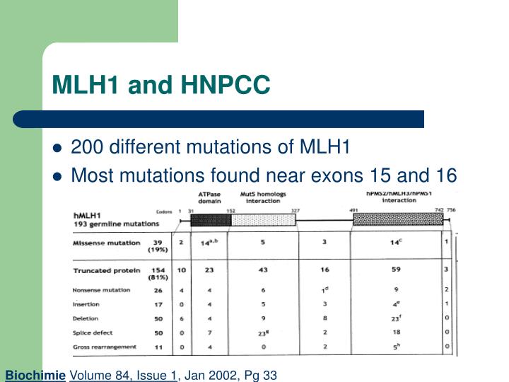 PPT - MLH1: Hereditary non-polyposis colon cancer (HNPCC) PowerPoint ...