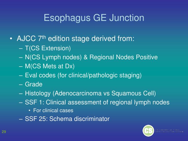 PPT - Esophagus, Esophagus GE Junction, Stomach PowerPoint Presentation ...