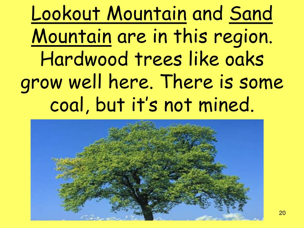 PPT - SS8G1 TSW describe Georgia with regard to physical features ...