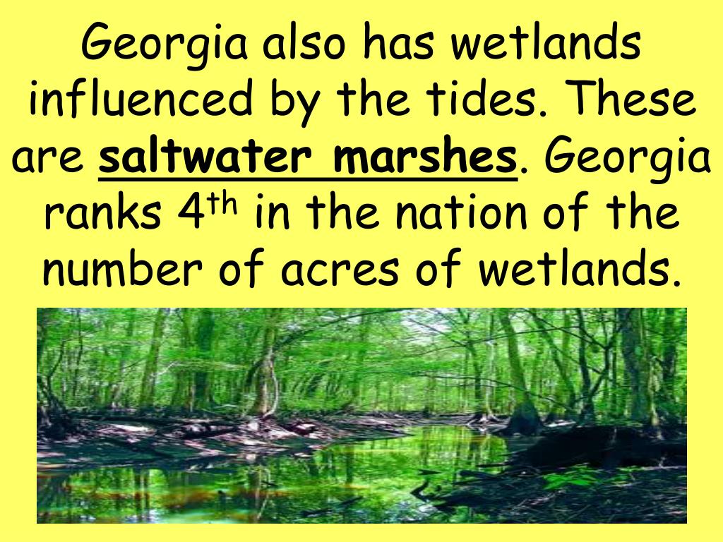 PPT - SS8G1 TSW describe Georgia with regard to physical features ...