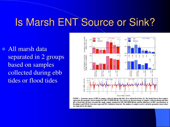 PPT - Water Quality PowerPoint Presentation - ID:5769097
