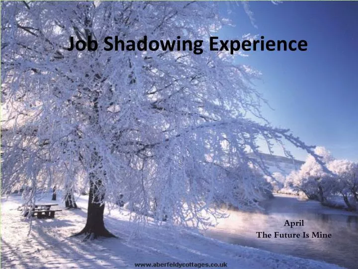 PPT - Job Shadowing Experience PowerPoint Presentation, free download ...