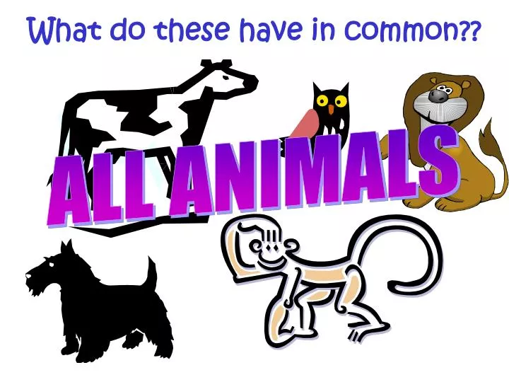 PPT - What do these have in common?? PowerPoint Presentation, free ...