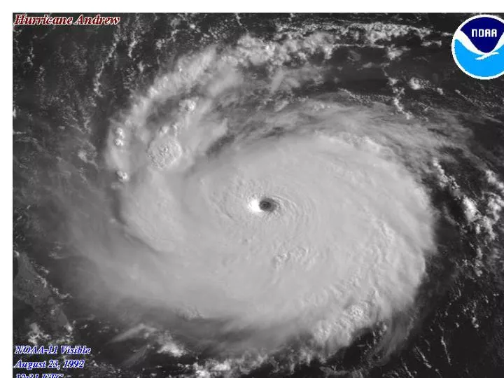 PPT - TC Structure PowerPoint Presentation, free download - ID:5771822