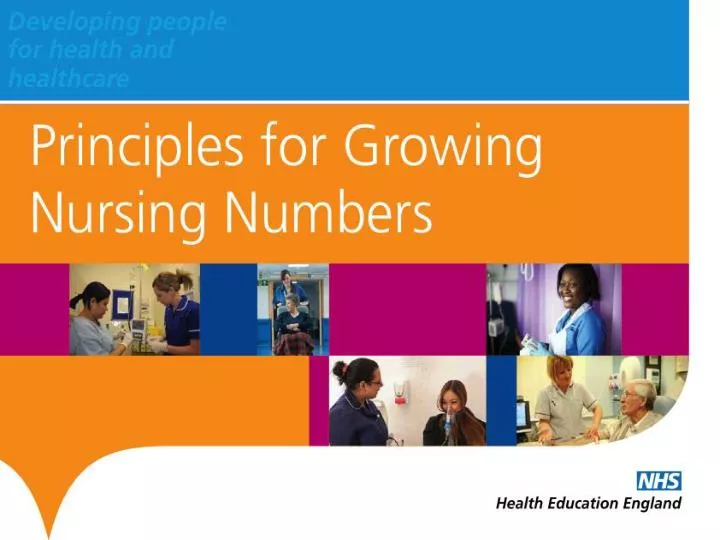 PPT - Growing-Nursing-Numbers-v2-FINAL PowerPoint Presentation, free ...
