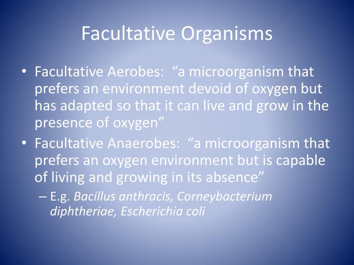 PPT - Physiology of Bacteria PowerPoint Presentation - ID:5773371