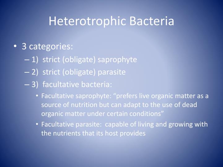 PPT - Physiology of Bacteria PowerPoint Presentation - ID:5773371