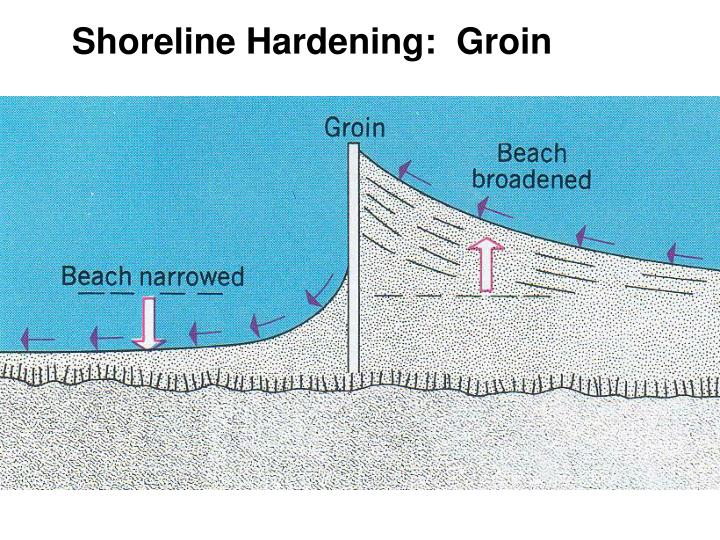 PPT - Beaches & Shoreline Processes PowerPoint Presentation - ID:5774192