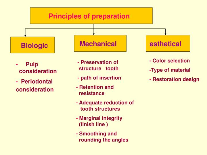 PPT - Tooth preparation PowerPoint Presentation - ID:5775028