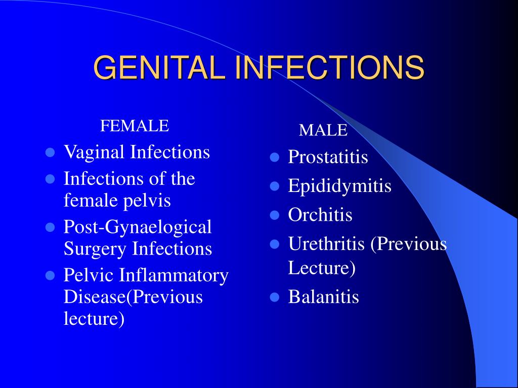 Ppt Genital Infections Powerpoint Presentation Free Download Id