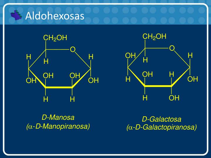 PPT - Carbohidratos I PowerPoint Presentation - ID:5775602