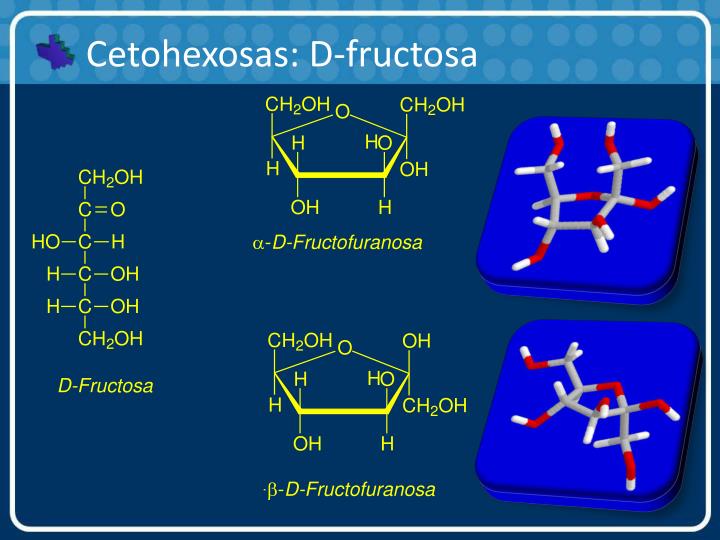PPT - Carbohidratos I PowerPoint Presentation - ID:5775602