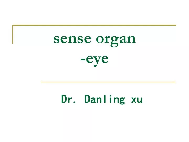 PPT - sense organ -eye PowerPoint Presentation, free download - ID:5775751