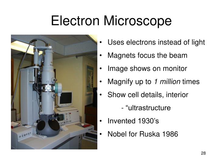 PPT - Honors Biology Microscopes PowerPoint Presentation - ID:5777026