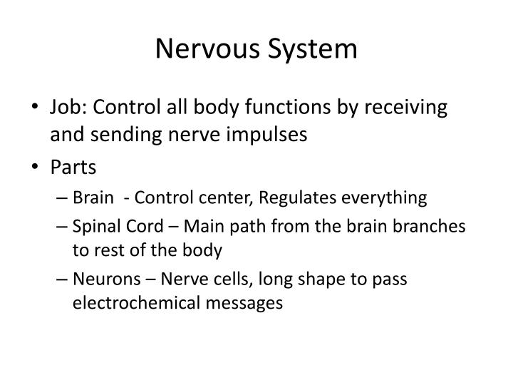 PPT - Human Body Systems PowerPoint Presentation - ID:5777423