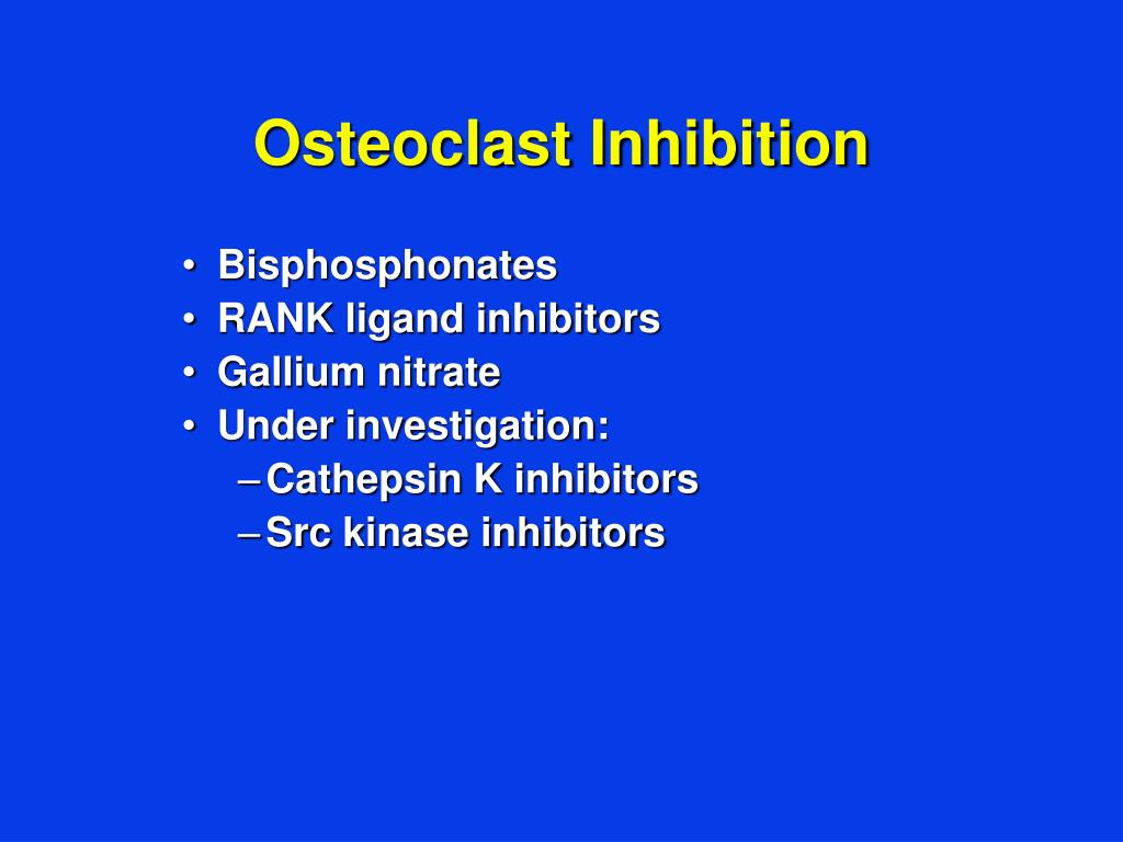 PPT - Julie R. Gralow, M.D. Director, Breast Medical Oncology, Seattle ...