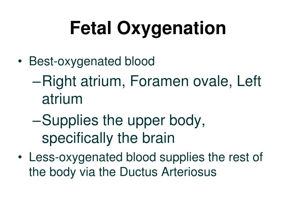 PPT - RSPT 2353 Neonatal Pediatric Respiratory Care PowerPoint ...