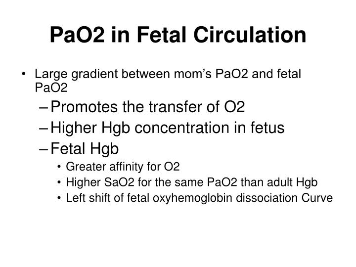 PPT - RSPT 2353 Neonatal Pediatric Respiratory Care PowerPoint ...