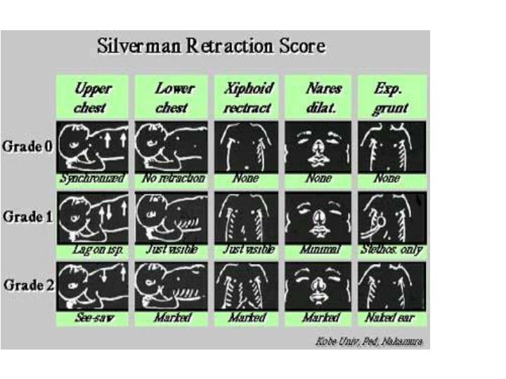 PPT - RSPT 2353 Neonatal Pediatric Respiratory Care PowerPoint ...