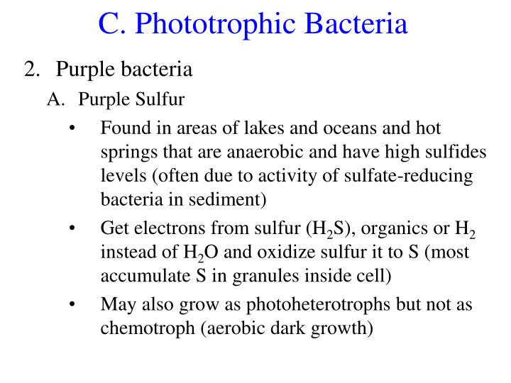 PPT - B. Photosynthetic Pigments PowerPoint Presentation - ID:5780174
