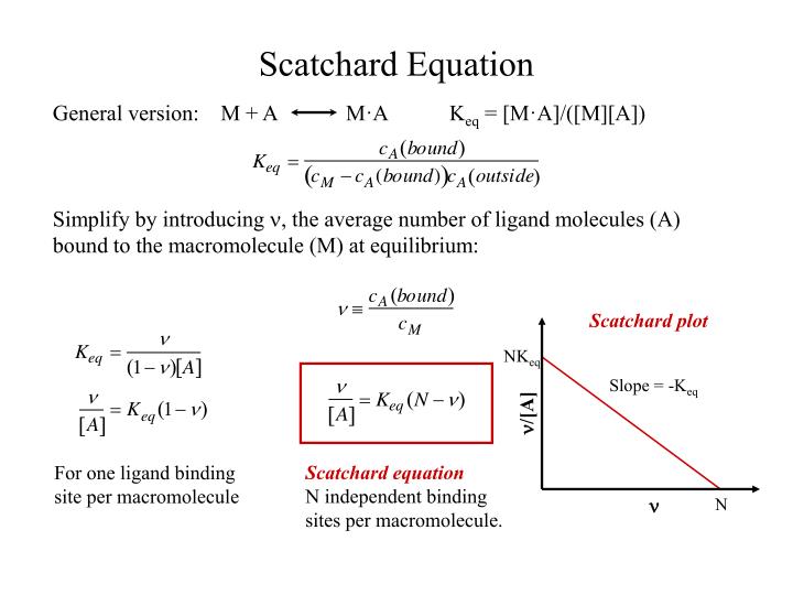 PPT - Phase Equilibria PowerPoint Presentation - ID:5780744