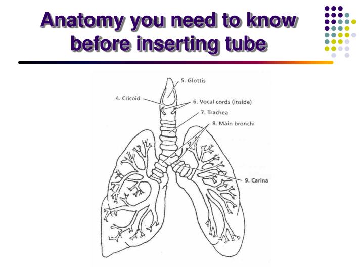 PPT - Endotracheal Intubation PowerPoint Presentation - ID:5780948