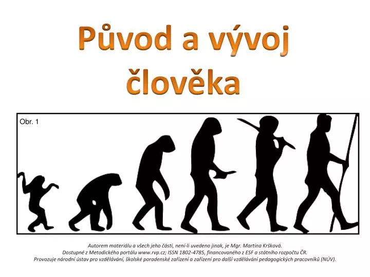 PPT - Původ a vývoj člověka PowerPoint Presentation - ID:5781844