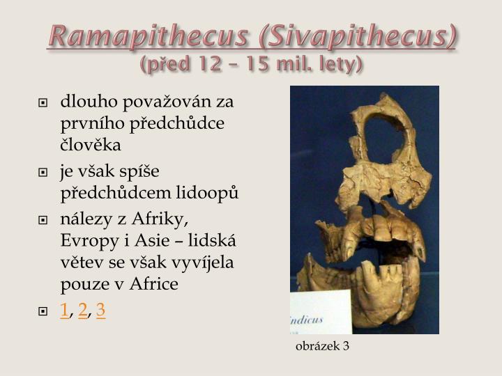 PPT - původ a Vývoj člověka PowerPoint Presentation - ID:5782439