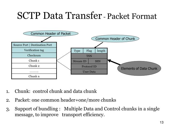 PPT - Stream Control Transmission Protocol (SCTP) PowerPoint ...