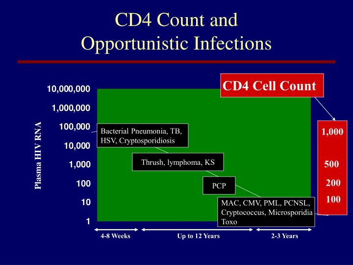 PPT - HIV-Associated Opportunistic Infections 2009 PowerPoint ...