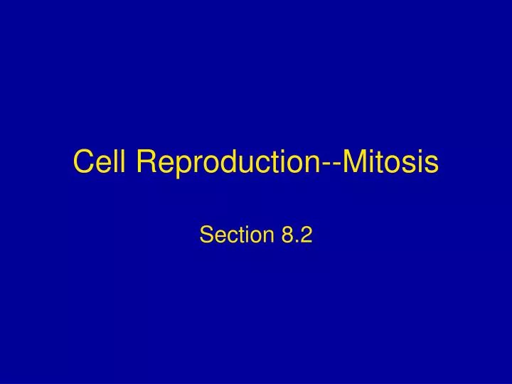 PPT - Cell Reproduction--Mitosis PowerPoint Presentation, free download ...