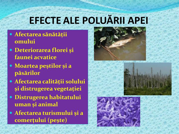PPT - POLUAREA APEI PowerPoint Presentation - ID:5785737