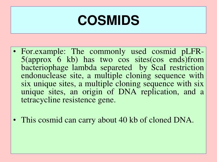 PPT - CLONING VECTORS PowerPoint Presentation - ID:5786940 PPT - CLONING VECTORS PowerPoint Presentation - ID:5786940