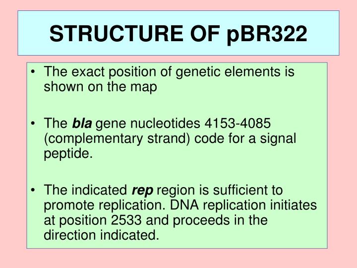 PPT - CLONING VECTORS PowerPoint Presentation - ID:5786940