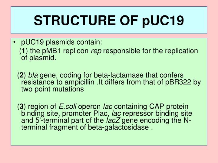 PPT - CLONING VECTORS PowerPoint Presentation - ID:5786940
